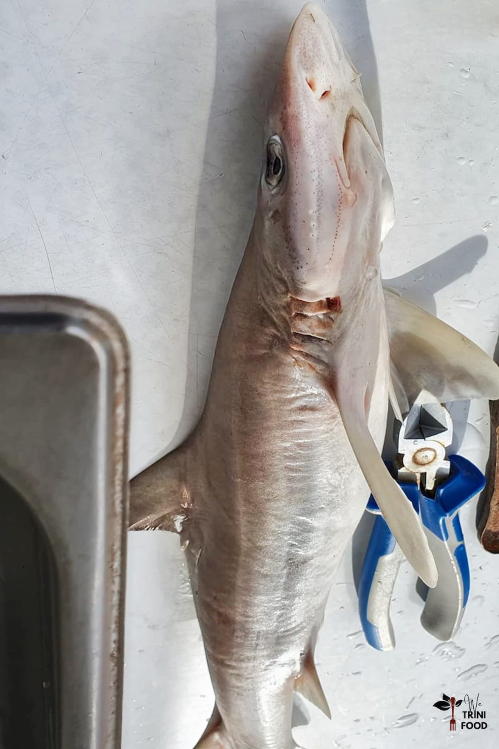 Fried Shark Recipe with Tasty Caribbean Flavors - We Trini Food